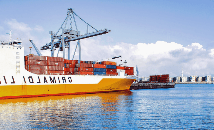 Home - Blue Grace LTD